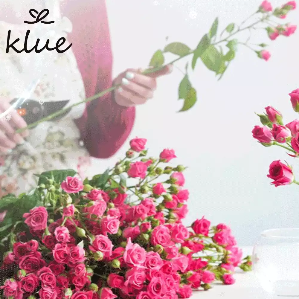 Preserving Natural Roses: 8 Important Tips to Keep Them Looking ...